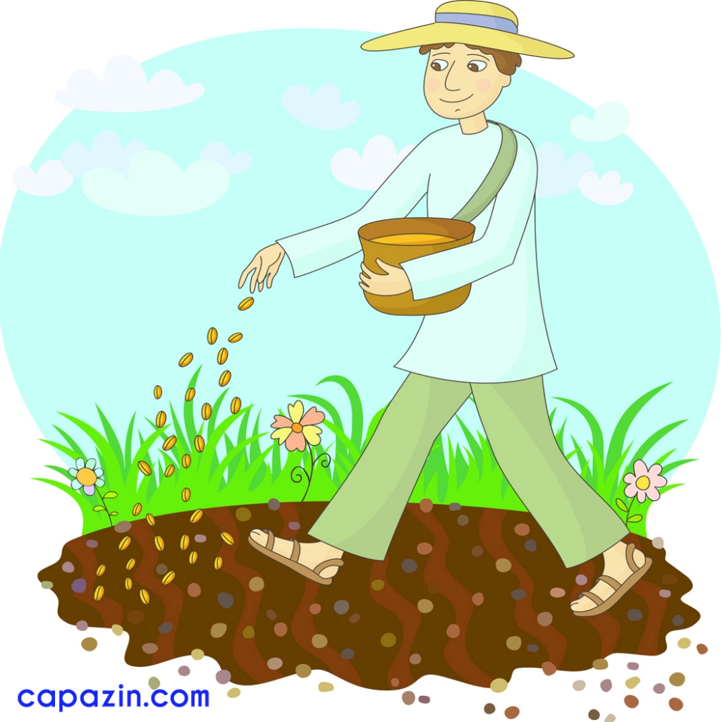 The Sower, the Seed, the Soil: Seed by the Wayside - Capazin
