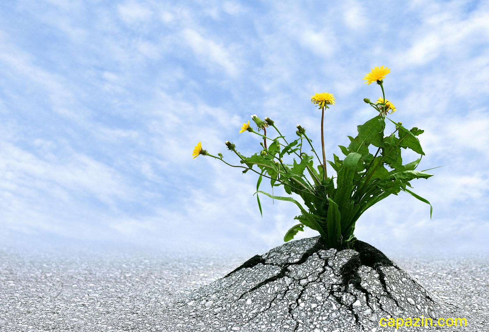 4 Reasons Real Faith Always Triumphs - Capazin