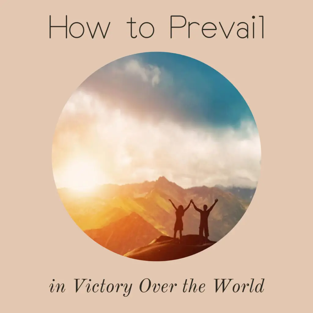 How to Prevail in Victory Over the World - Capazin